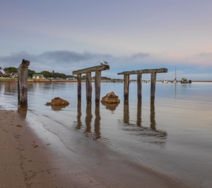 What to Do | Dongara Tourist Park